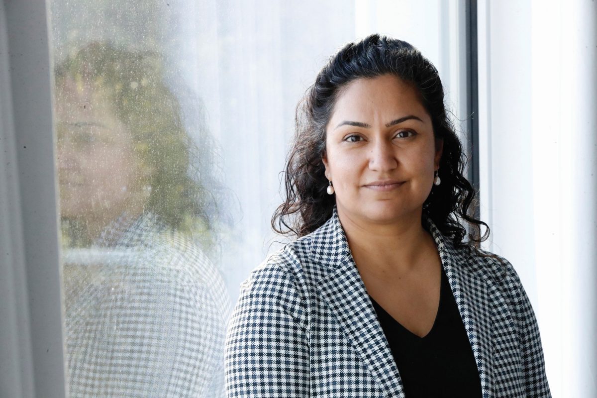 Flarden van waarheid - Het Verzet